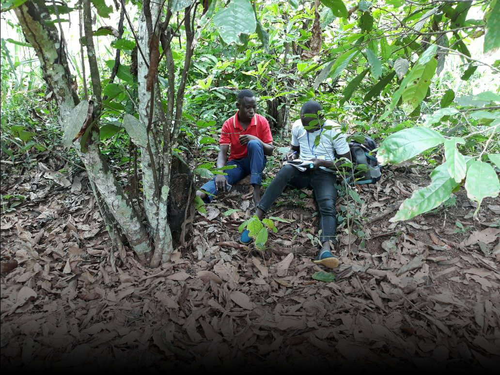 Côte d’Ivoire Country Office| Innovations for Poverty Action