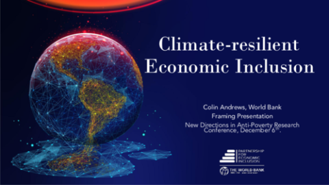 17. Climate Change and Economic Inclusion | IPA